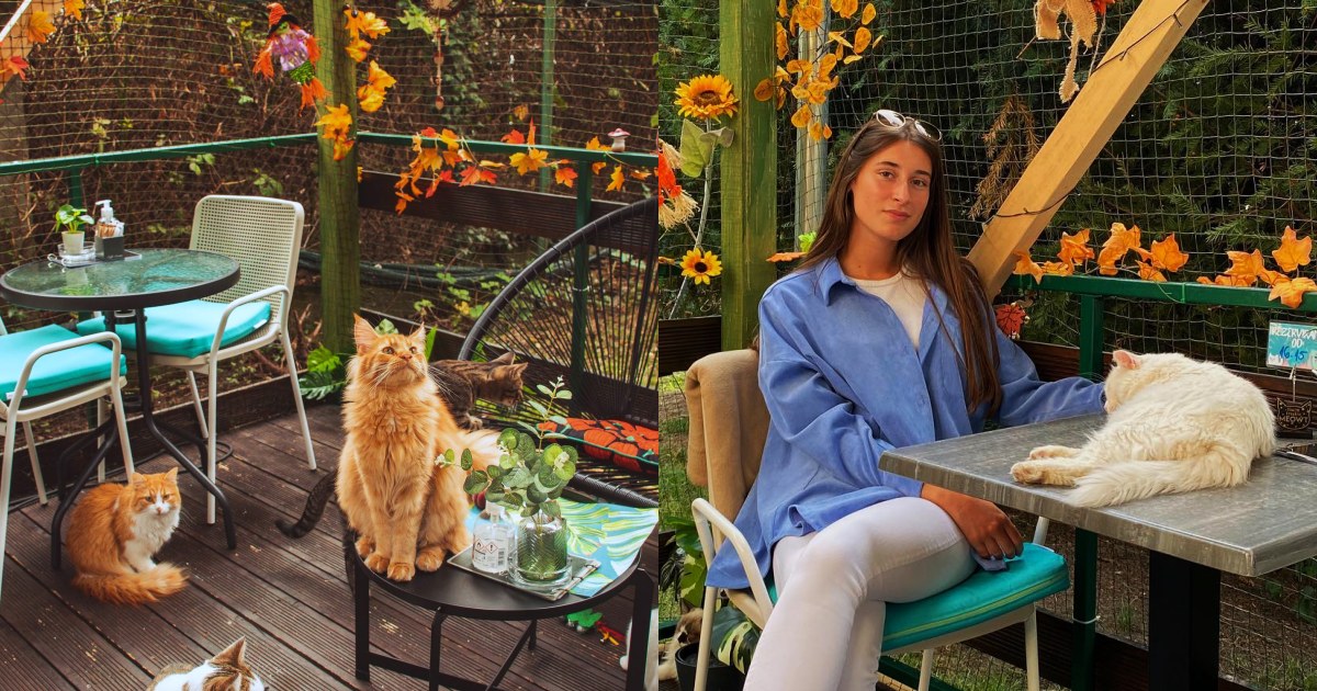 Cat Caffe Zagreb: Kafić koji obožavaju svi ljubitelji mačaka